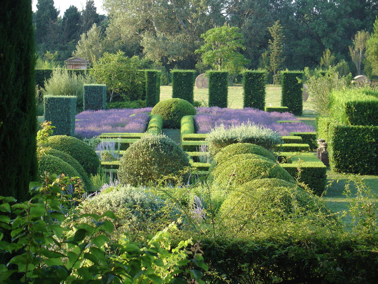 An experimental garden