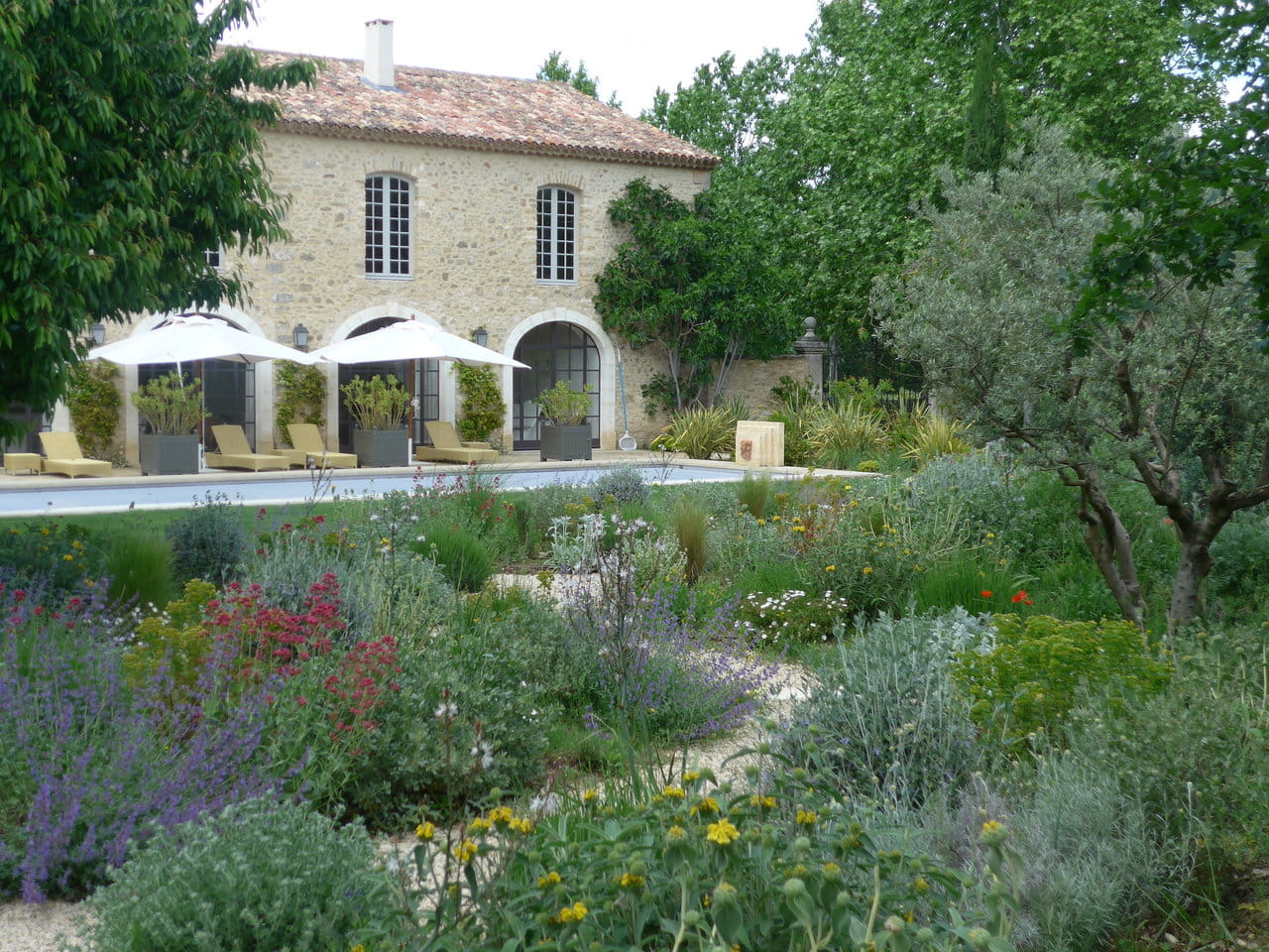 A garden in the Luberon