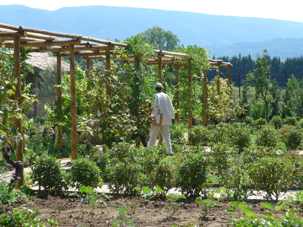 A garden in the Luberon